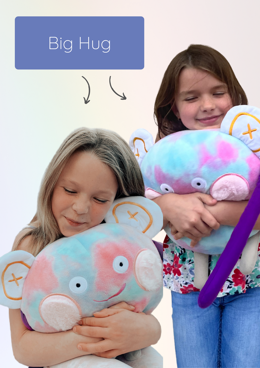 Big Hug Soft Cuddle Toy – Wonderful Me